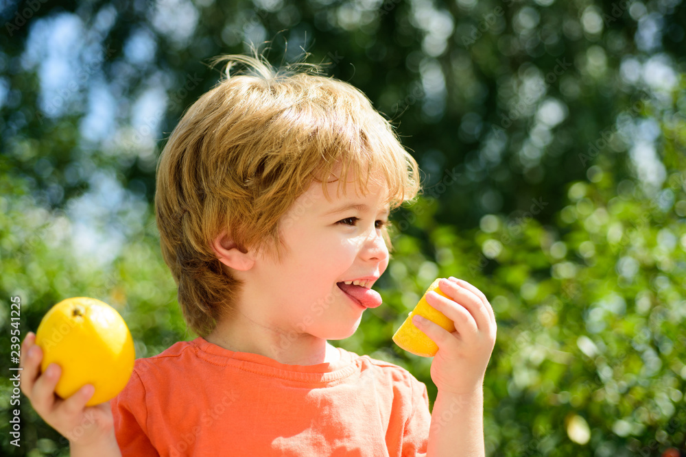 Child taste sour lemon. Eats the lemon boy, expression by the acid ...