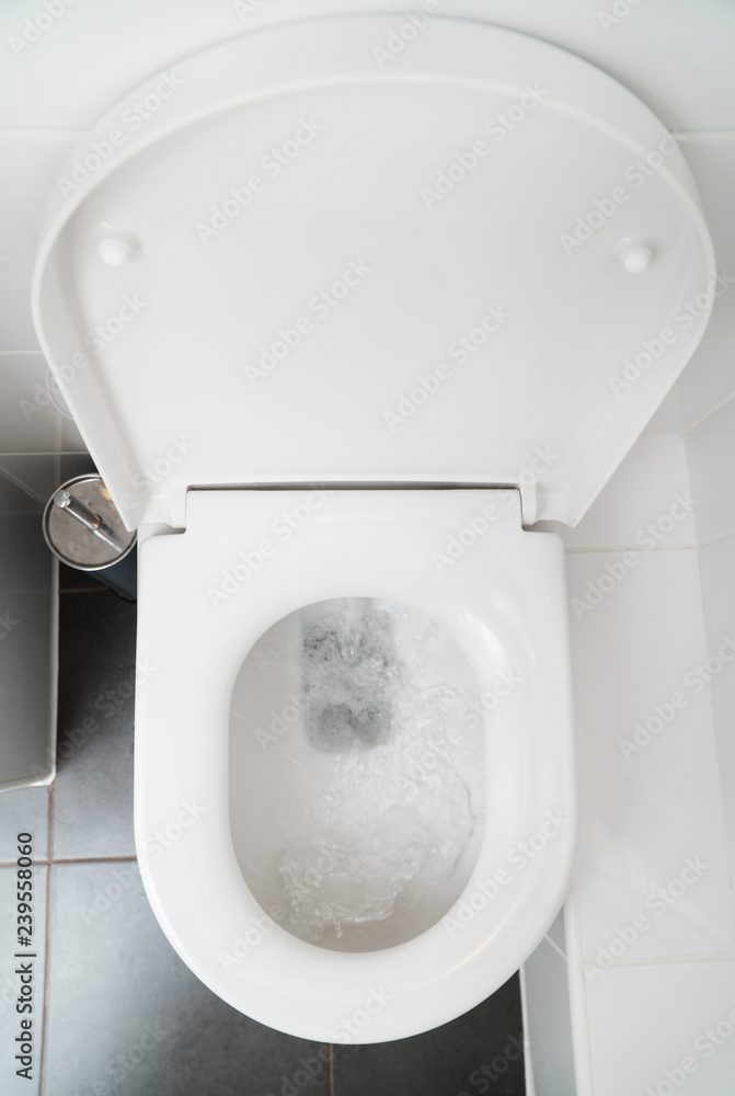 Toilet bowl top view in water closet. Stock Photo | Adobe Stock