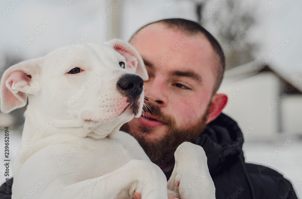 dog pit bull and her friend, her loving master who holds the dog in her ...
