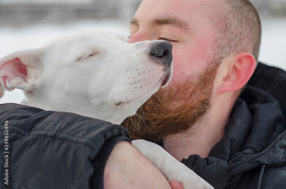 dog pit bull and her friend, her loving master who holds the dog in her ...
