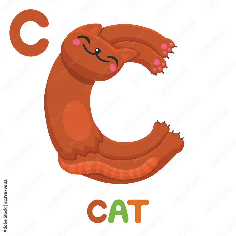 C is for Cat. Letter C. Cat, cute illustration. Animal alphabet. Stock ...