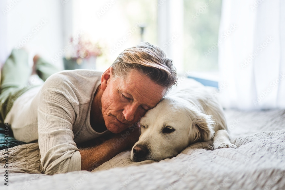 Retired man sleeping with dog comfortably on bed at home Stock Photo ...