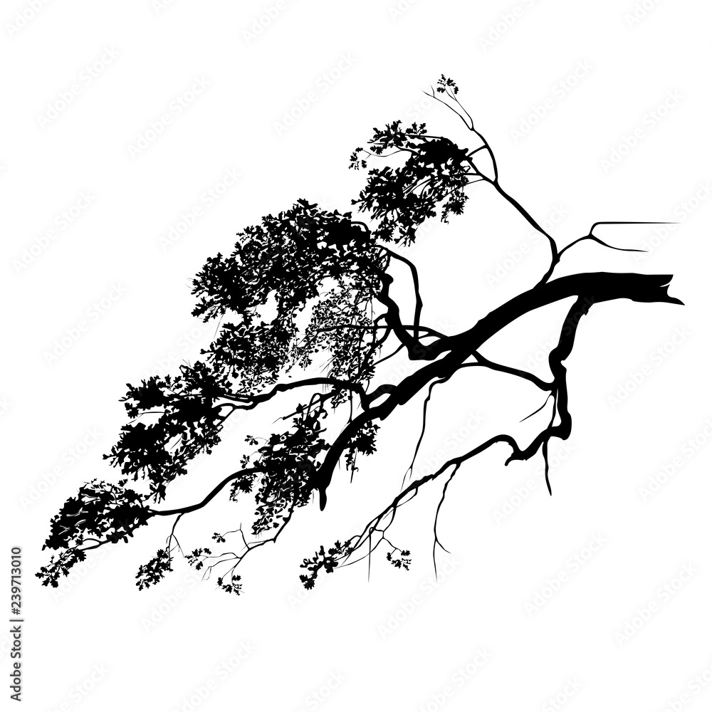 Oak Branch Silhouette