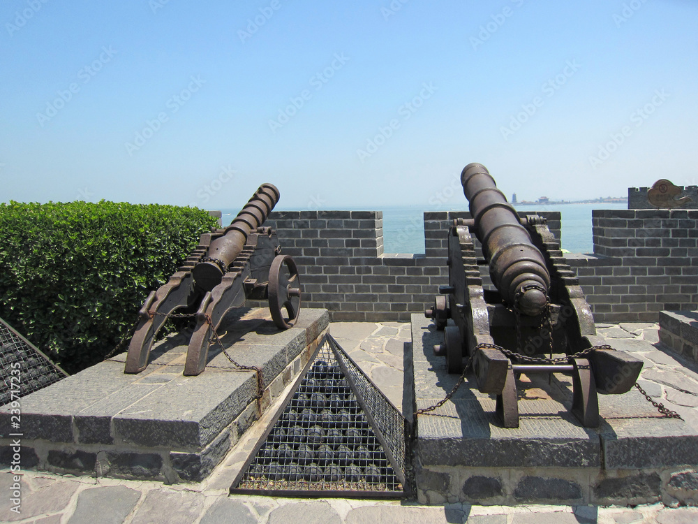 Ancient Chinese Cannon