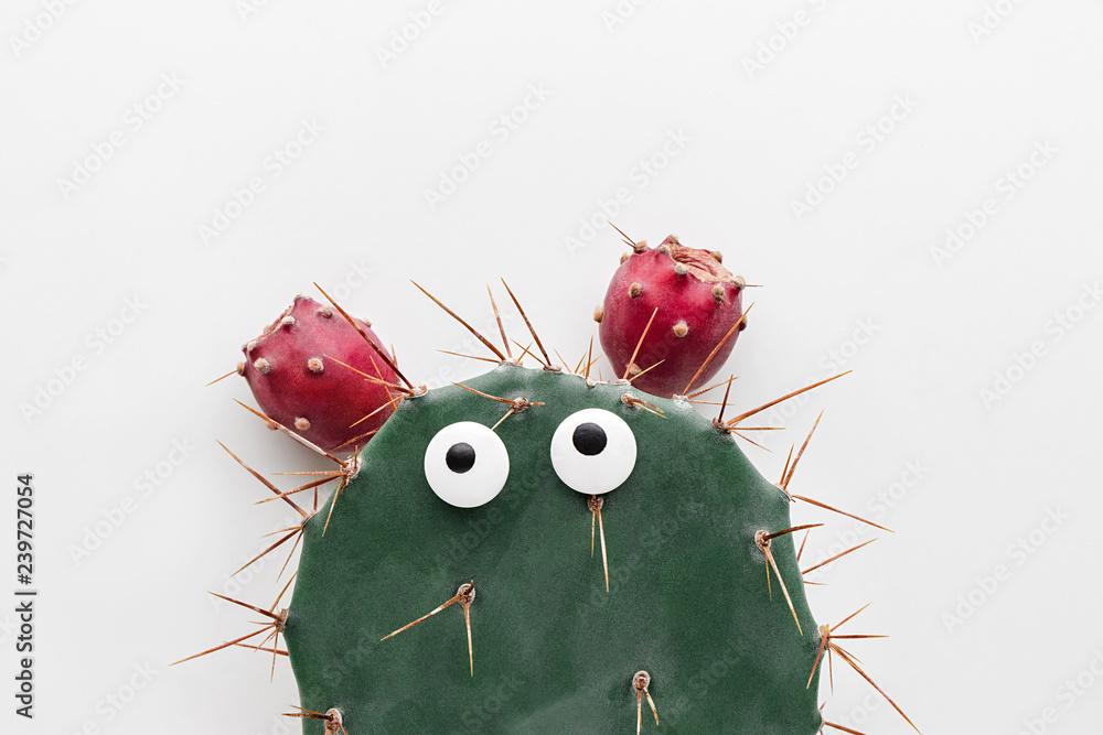 Funny face prickly pear cactus on a white background, prickly pear ...