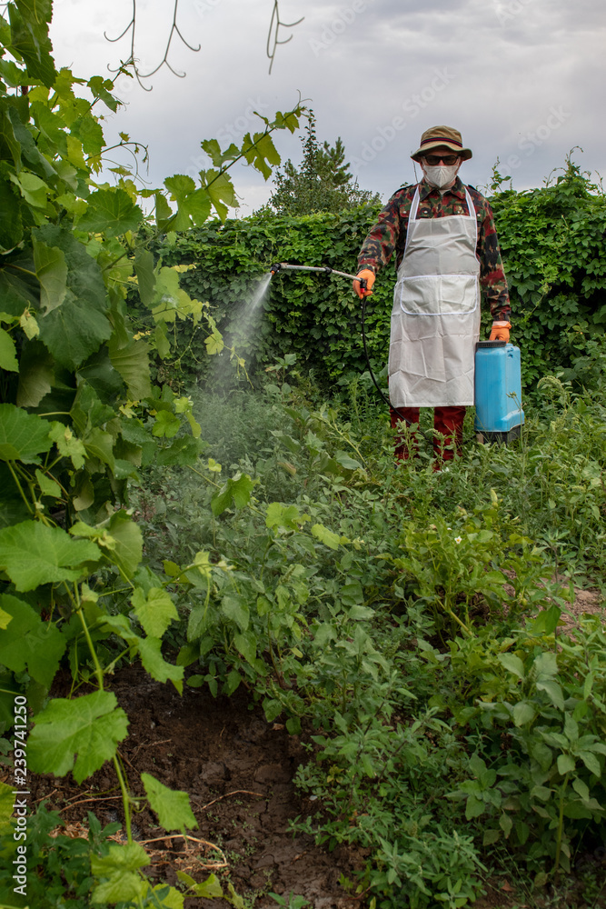 Male farmer with hat, glasses, respirator, apron, protective clothing ...