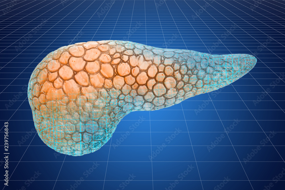 Visualization 3d cad model of human pancreas, 3D rendering Stock ...