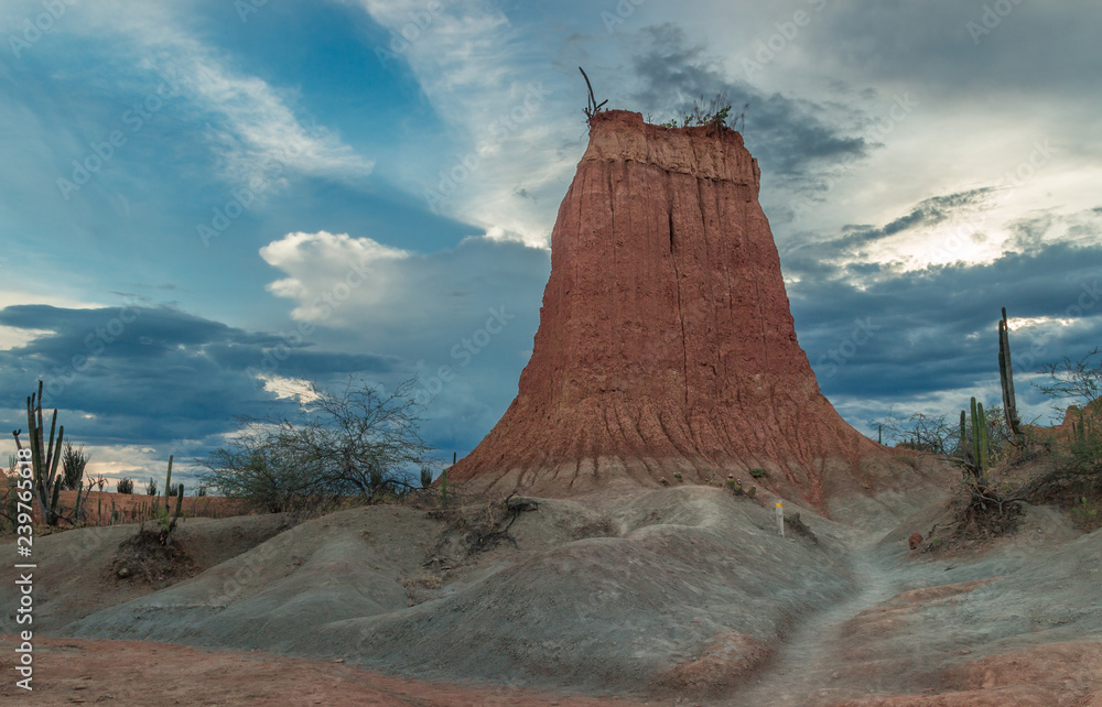 Famous rock and clay pillar formation in the semi arid Tatacoa desert ...