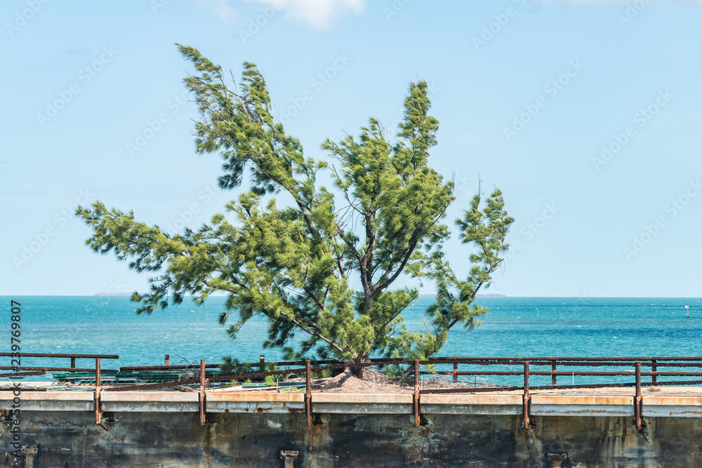 Old seven mile bridge, broken destroyed after hurricane storm, falling ...