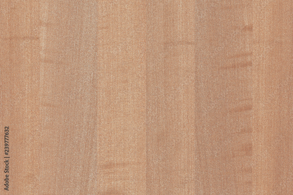 serviceberry tree timber wood structure texture background wallpaper ...