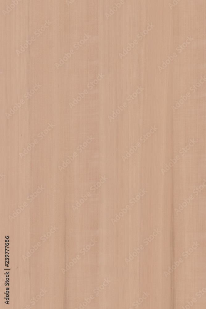serviceberry tree timber wood structure texture background wallpaper ...
