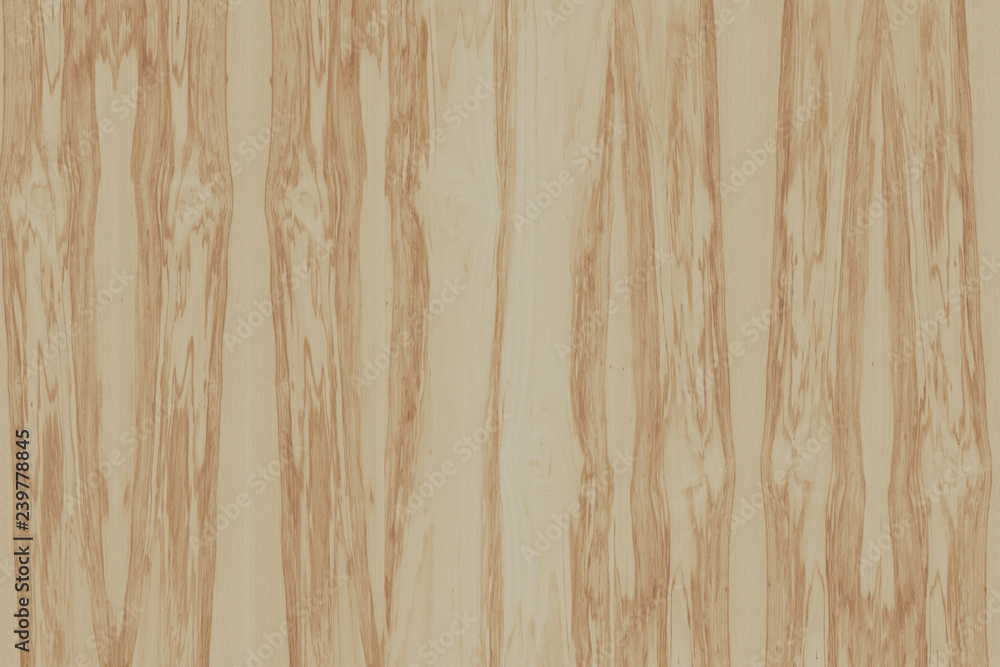 light brown ash-tree timber tree wood structure texture background ...