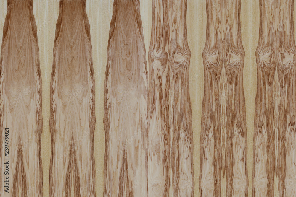 light brown ash-tree timber tree wood structure texture background ...