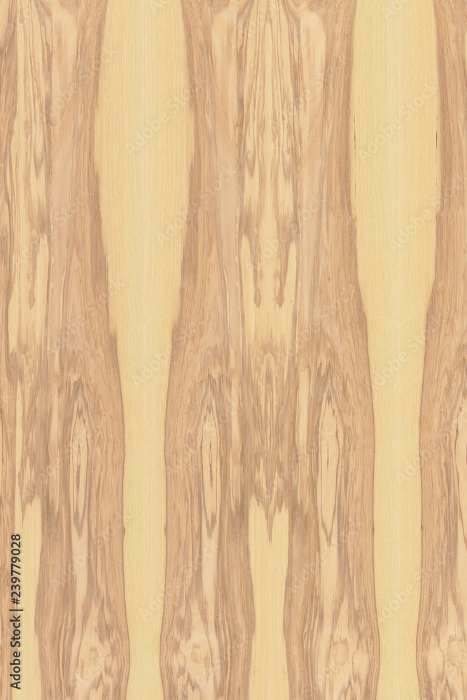 light brown ash-tree timber tree wood structure texture background ...