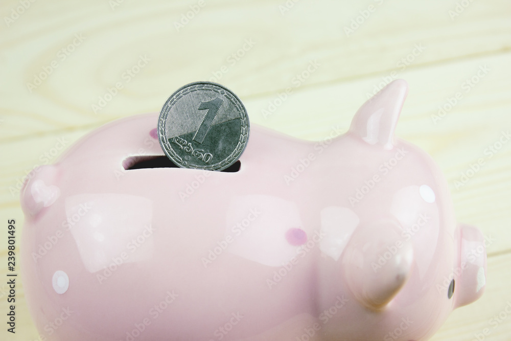 piggy bank and money. Stock Photo | Adobe Stock