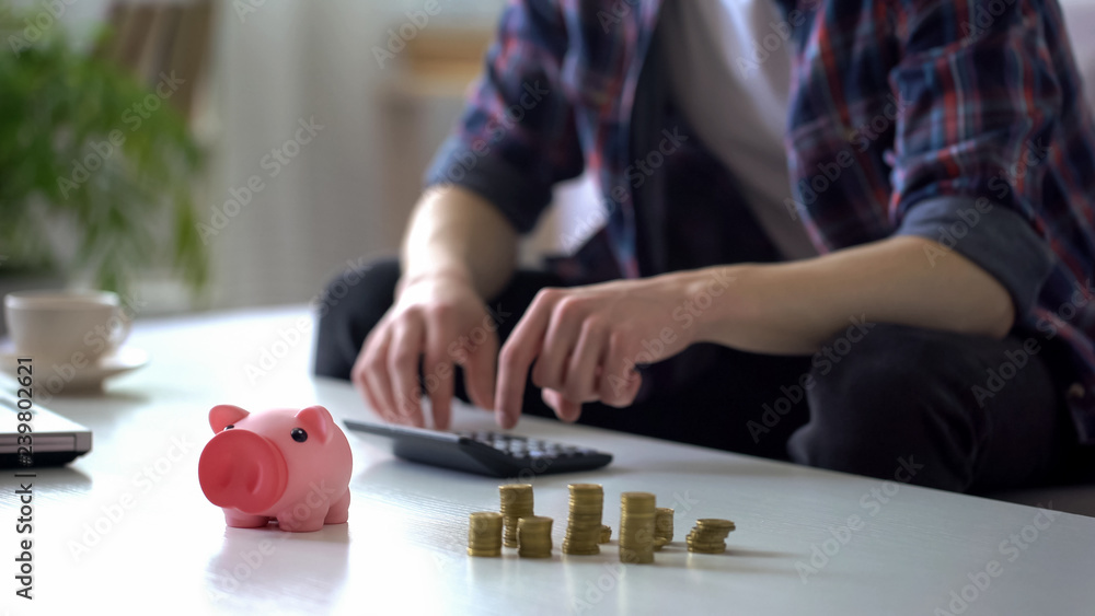Man calculating money, saving coins in piggy bank, family budget ...