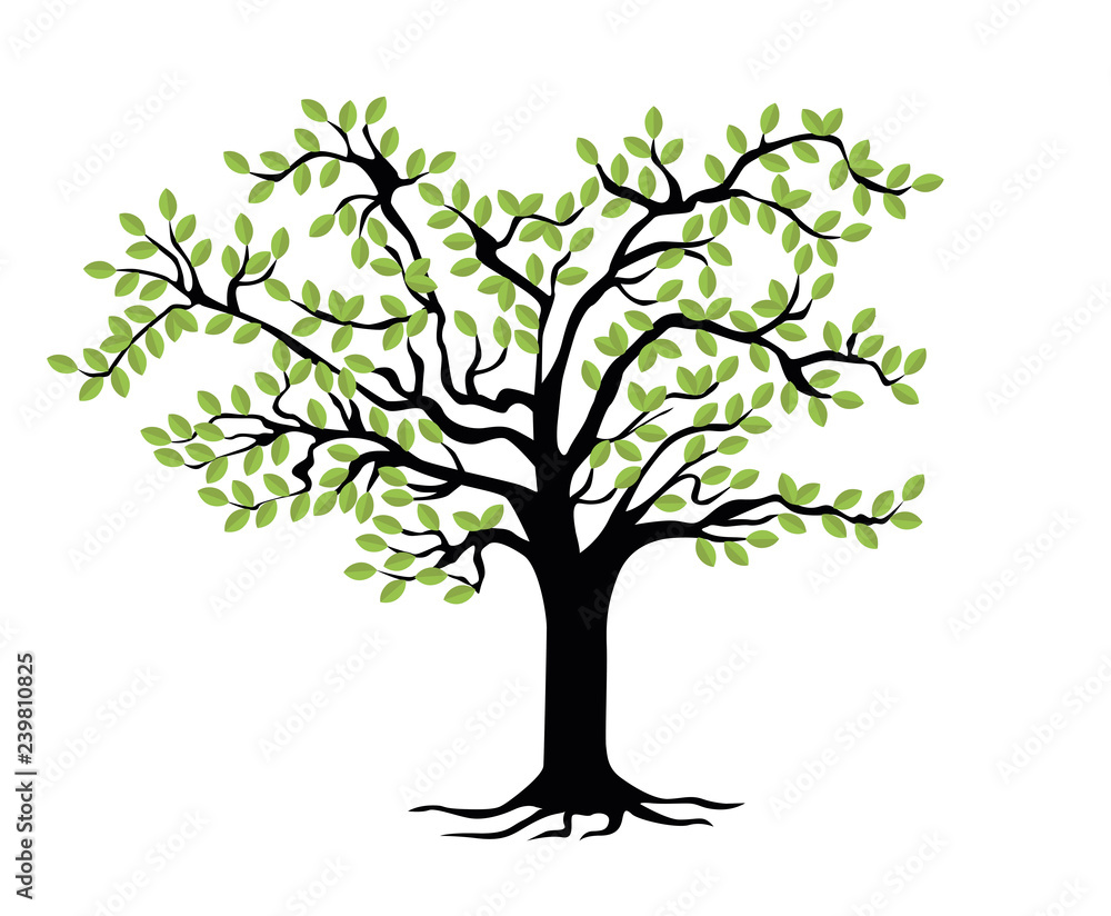 Family Tree template. Vector illustration Stock Vector | Adobe Stock