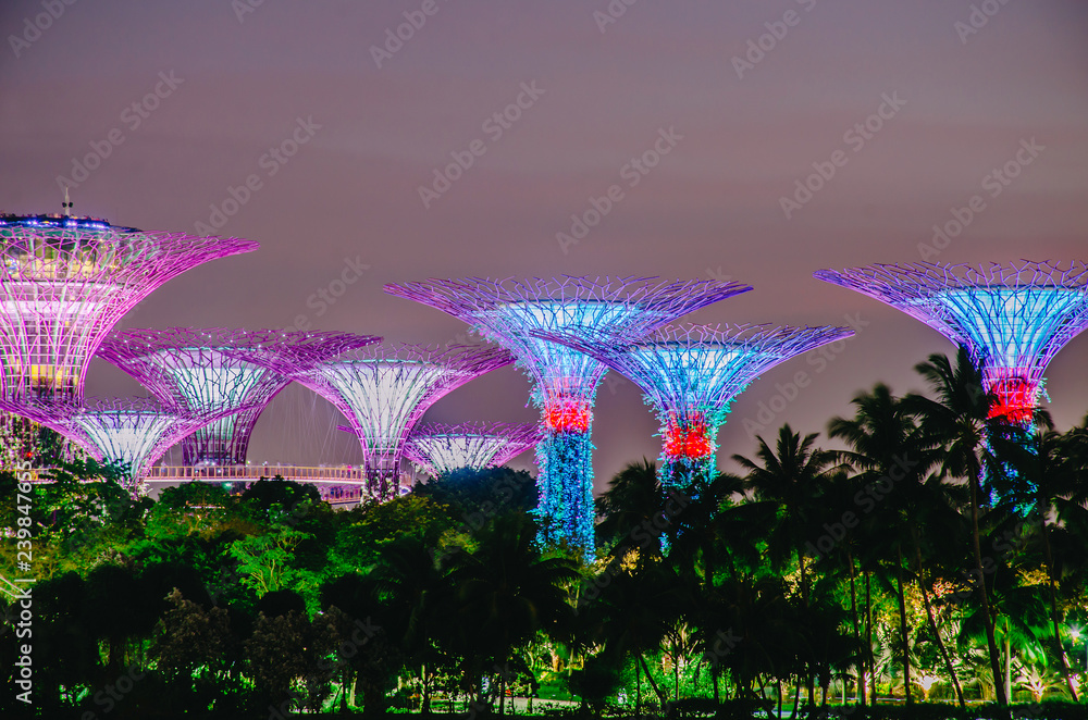 Night view of Supertrees at Gardens by the Bay. The tree-like ...