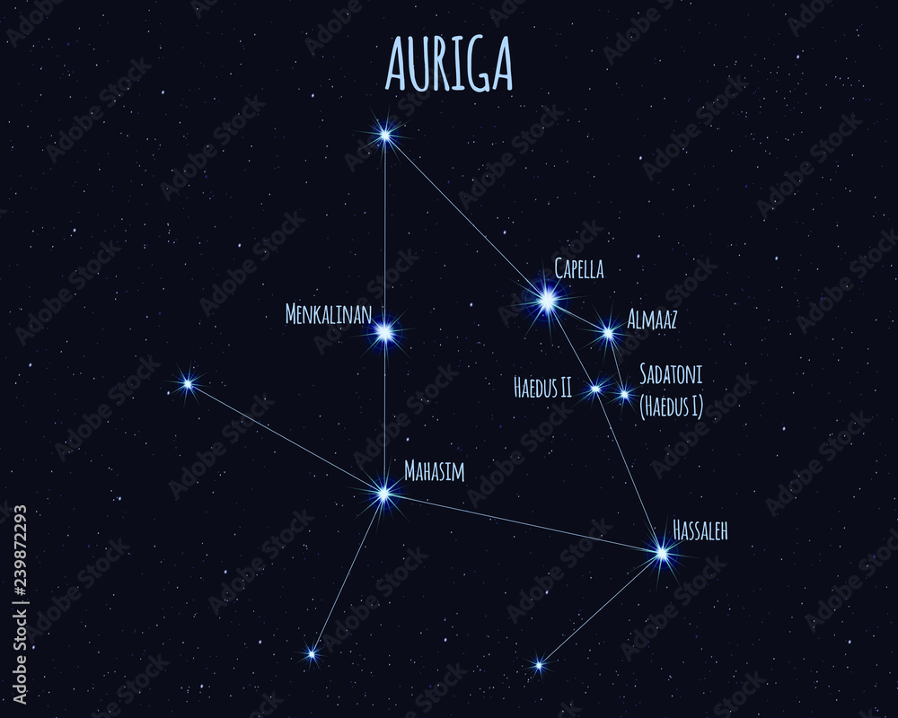 Vetor de Auriga (The Charioteer) constellation, vector illustration ...