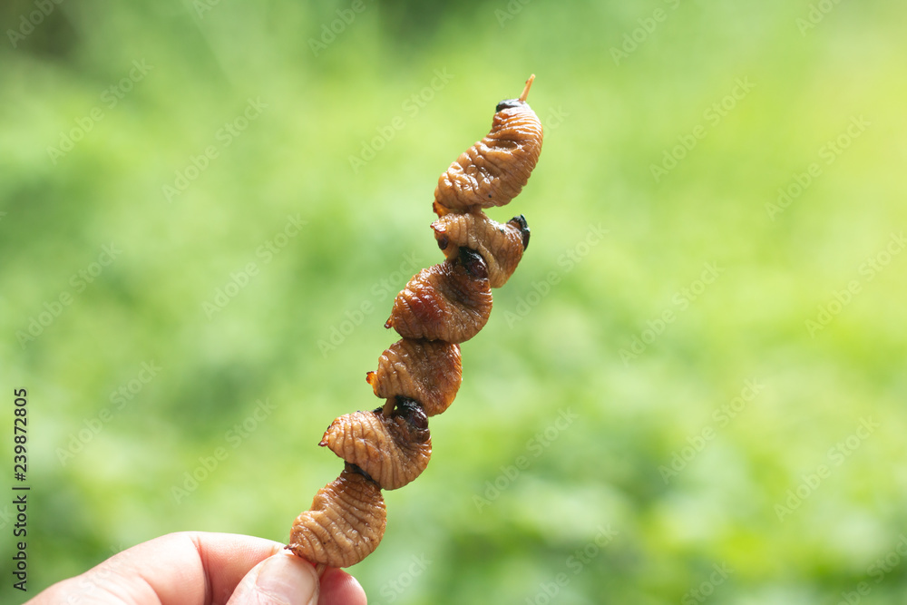 Fotografia do Stock: Worm beetle of Red palm weevil roast with salt, It ...