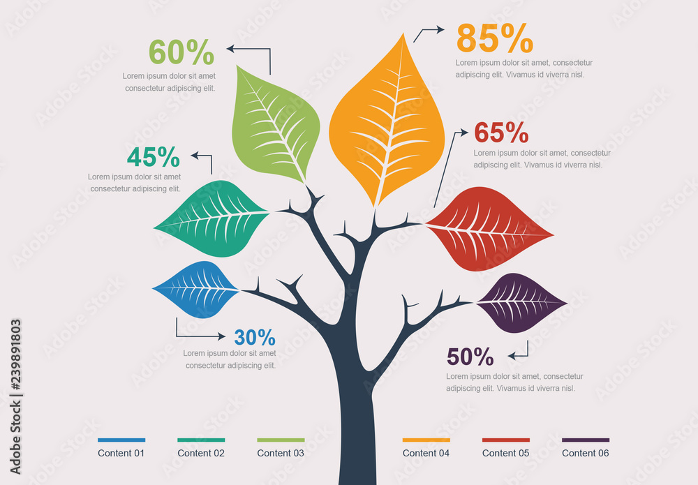Tree Leaves Infographic Layout Stock Template | Adobe Stock