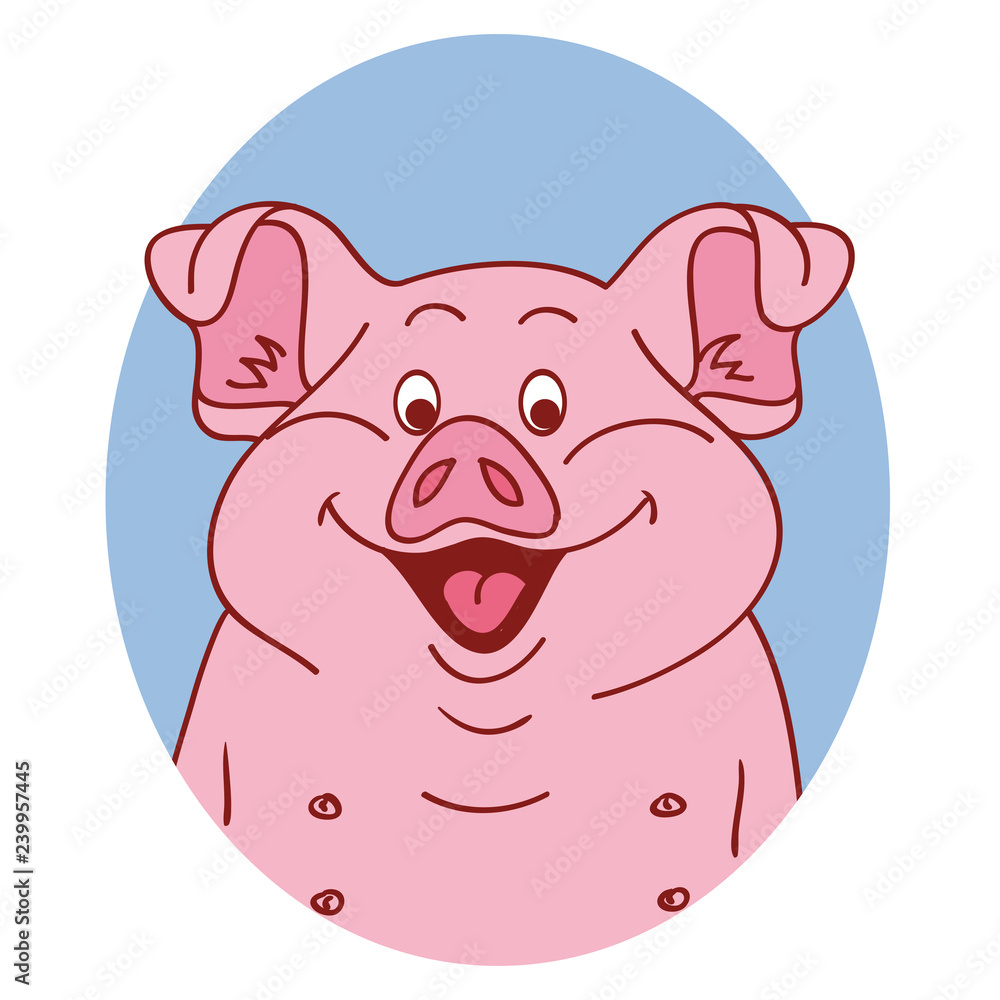 Pig face. Pig isolated. Pig portrait on white background, happy ...