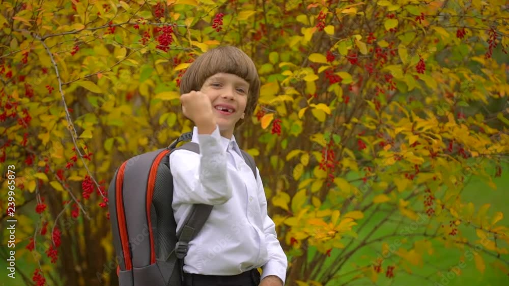 Portrait of smiling happy cute boy schoolboy with backpack laughing to ...