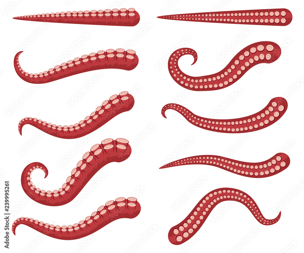 Octopus tentacles vector cartoon set isolated on a white background ...
