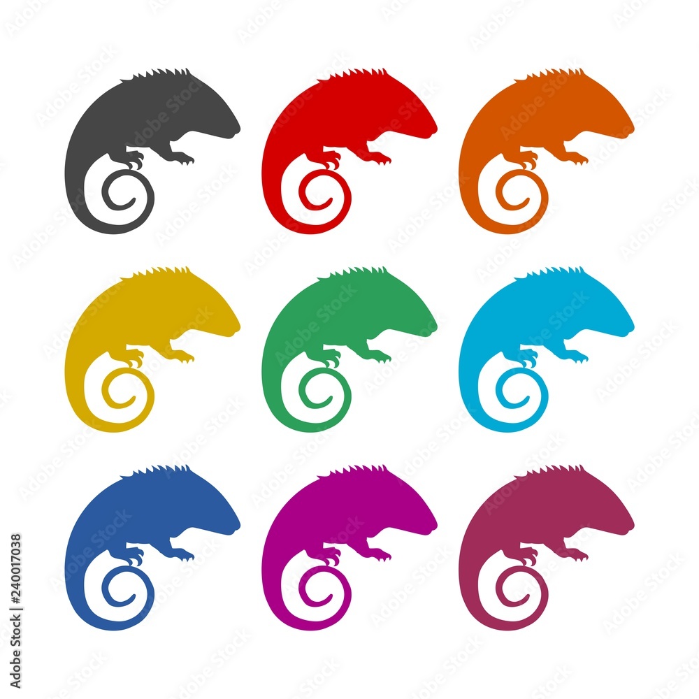 Chameleon Icon