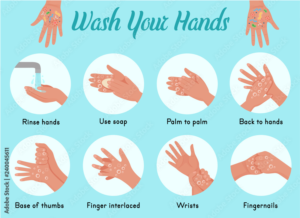 Wash Your Hands. Steps of how to wash your hands. Vector. Stock Vector ...