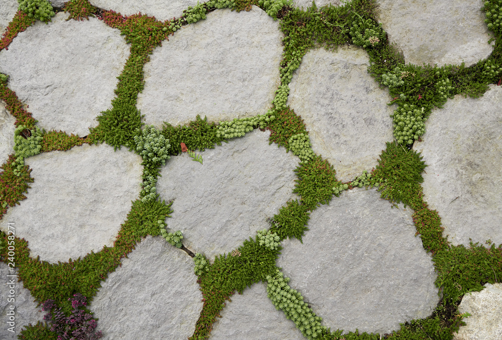 Stone garden pavers Stock Photo | Adobe Stock
