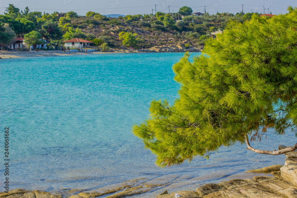 summer sea vacation and tourist agency concept photography of vivid ...