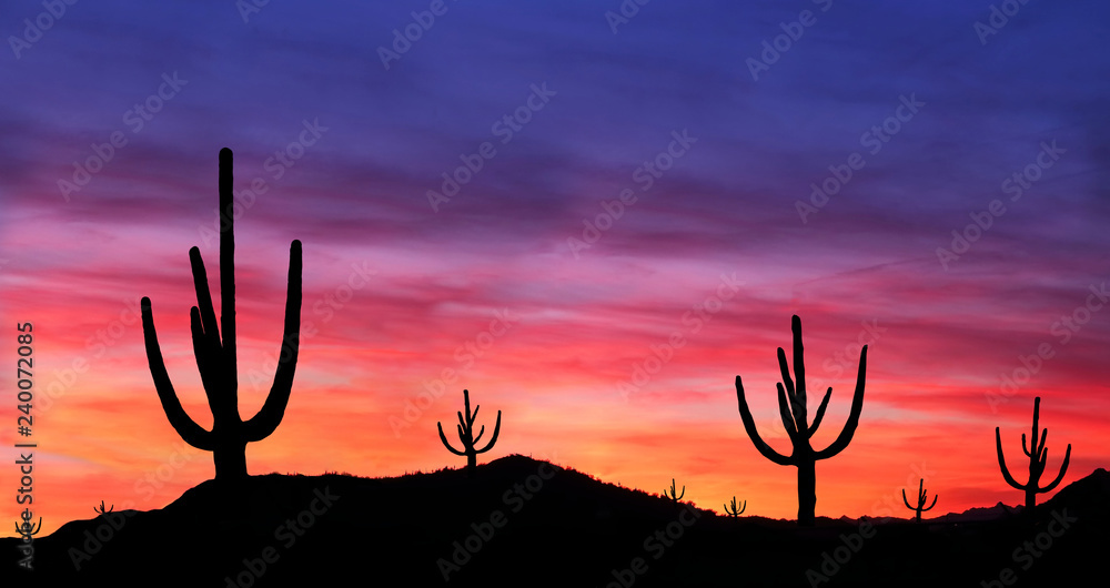 Phoenix Desert Sunset