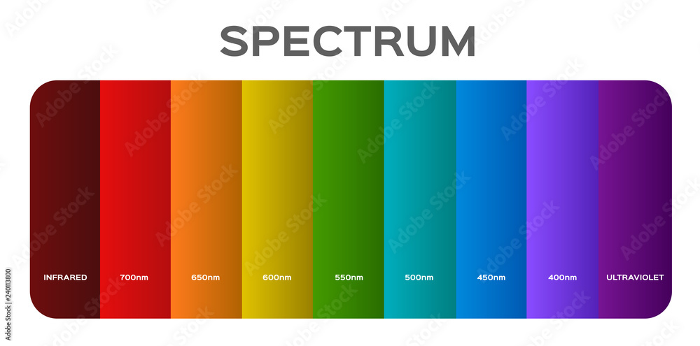 infographic of Visible spectrum color. sunlight color Stock Vector ...