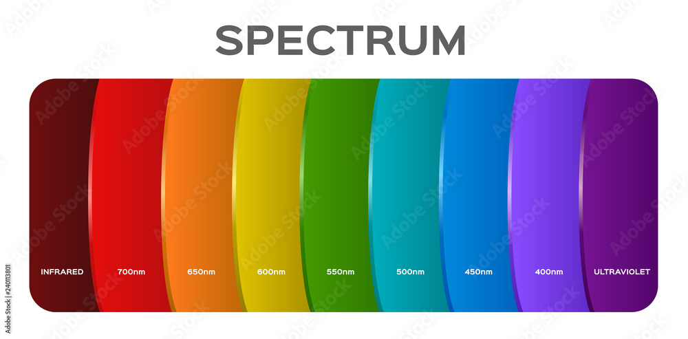 infographic of Visible spectrum color. sunlight color Stock Vector ...