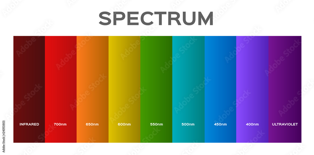 infographic of Visible spectrum color. sunlight color vector de Stock ...