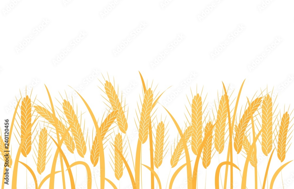 Golden wheat ears on stalks horizontal border frame in flat style ...