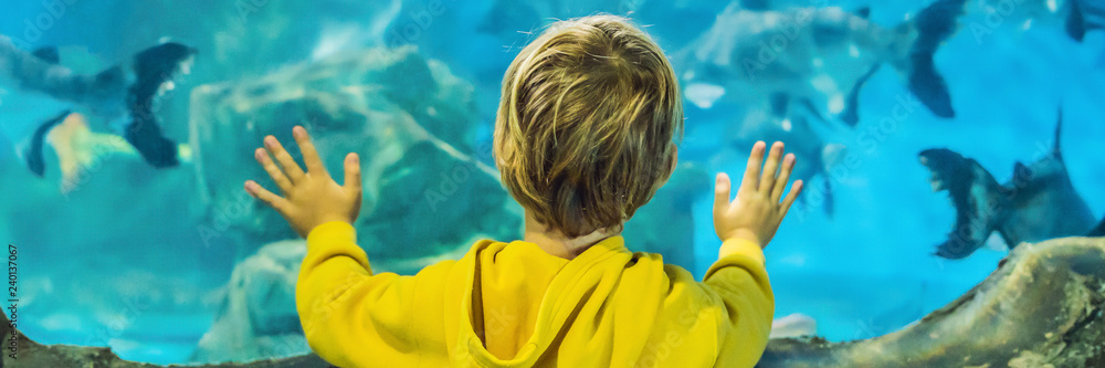 Little boy, kid watching the shoal of fish swimming in oceanarium ...