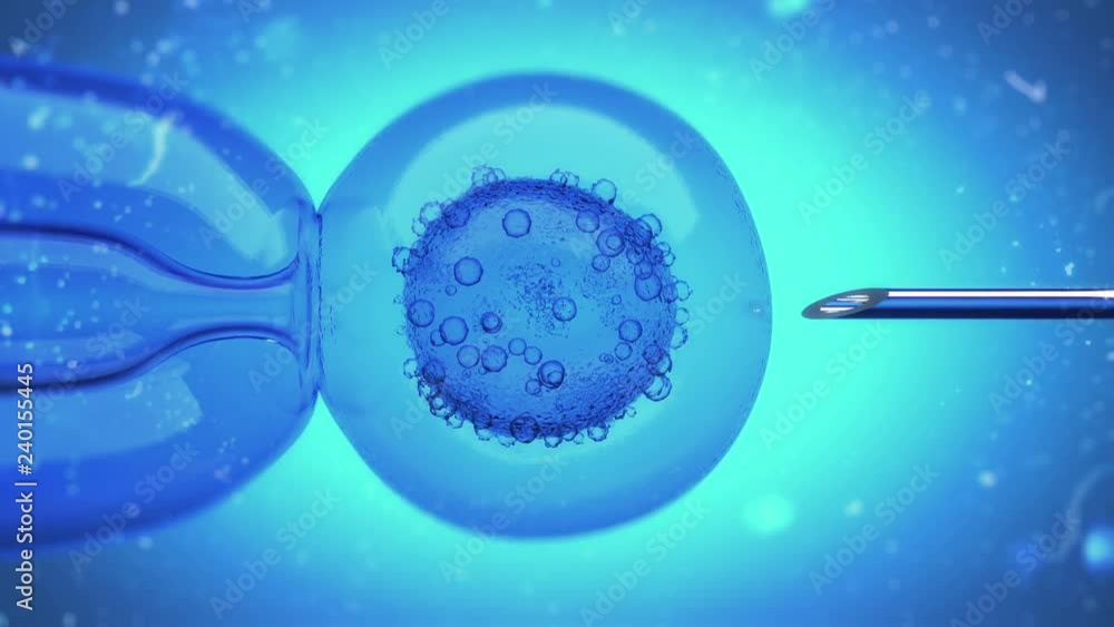 3D Animation of a DNA filled liquid being injected into an egg cell ...