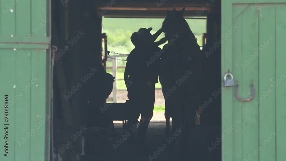 Silhouettes of a Boy and a Woman Washing a Horse in the Stable After ...
