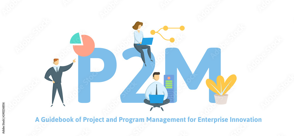 Vecteur Stock P2M, A Guidebook for Project and Program Management for ...