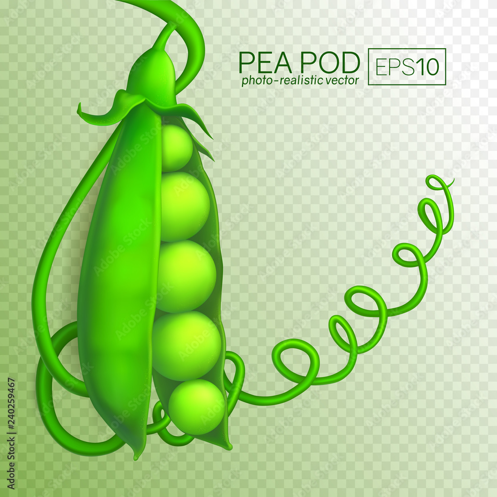 Green pea pod isolated on transparent background. Fresh Pea Pod in a ...