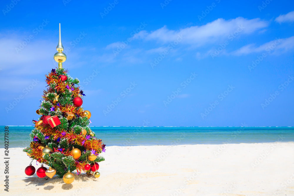 Christmas tree on the beach with blue sky, white sand and blue ocean in ...