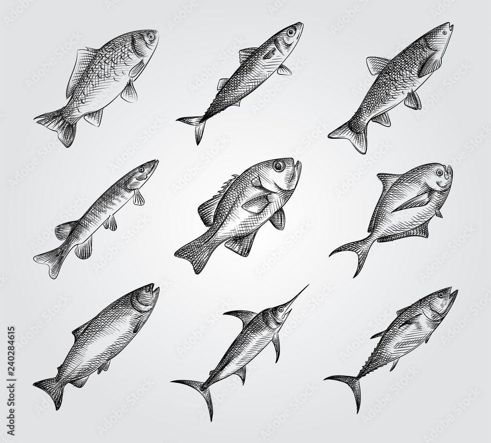 Hand Drawn Fishing elements Sketches Set. Collection Of saltwater sea ...