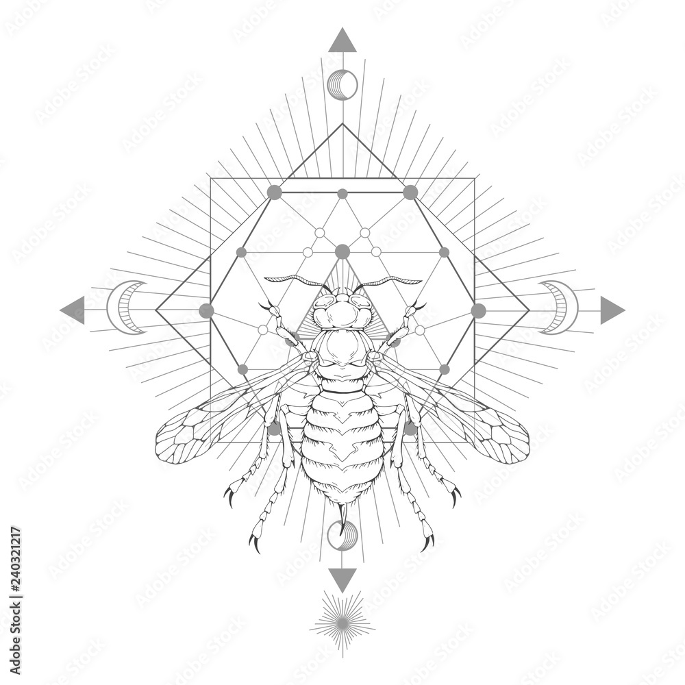 Vector illustration with hand drawn wasp and Sacred geometric symbol on ...