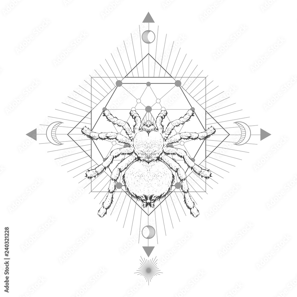 Vector illustration with hand drawn spider tarantula and Sacred ...