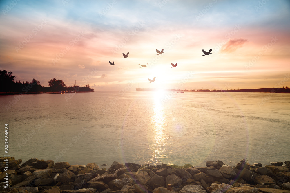 The freedom of birds,freedom concept..Silhouette flock of birds flying ...