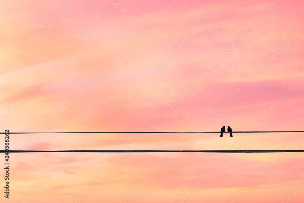 Two birds on a wire or electric line on the sunset sky background ...