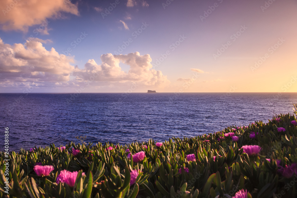 Malta, Blue Grotto.The most beautiful maltese sunset. Pink beautiful ...