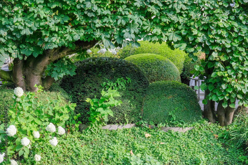wunderschöne Gartenanlage Park am Wasser in grün mit Buchs Buchsbaum ...
